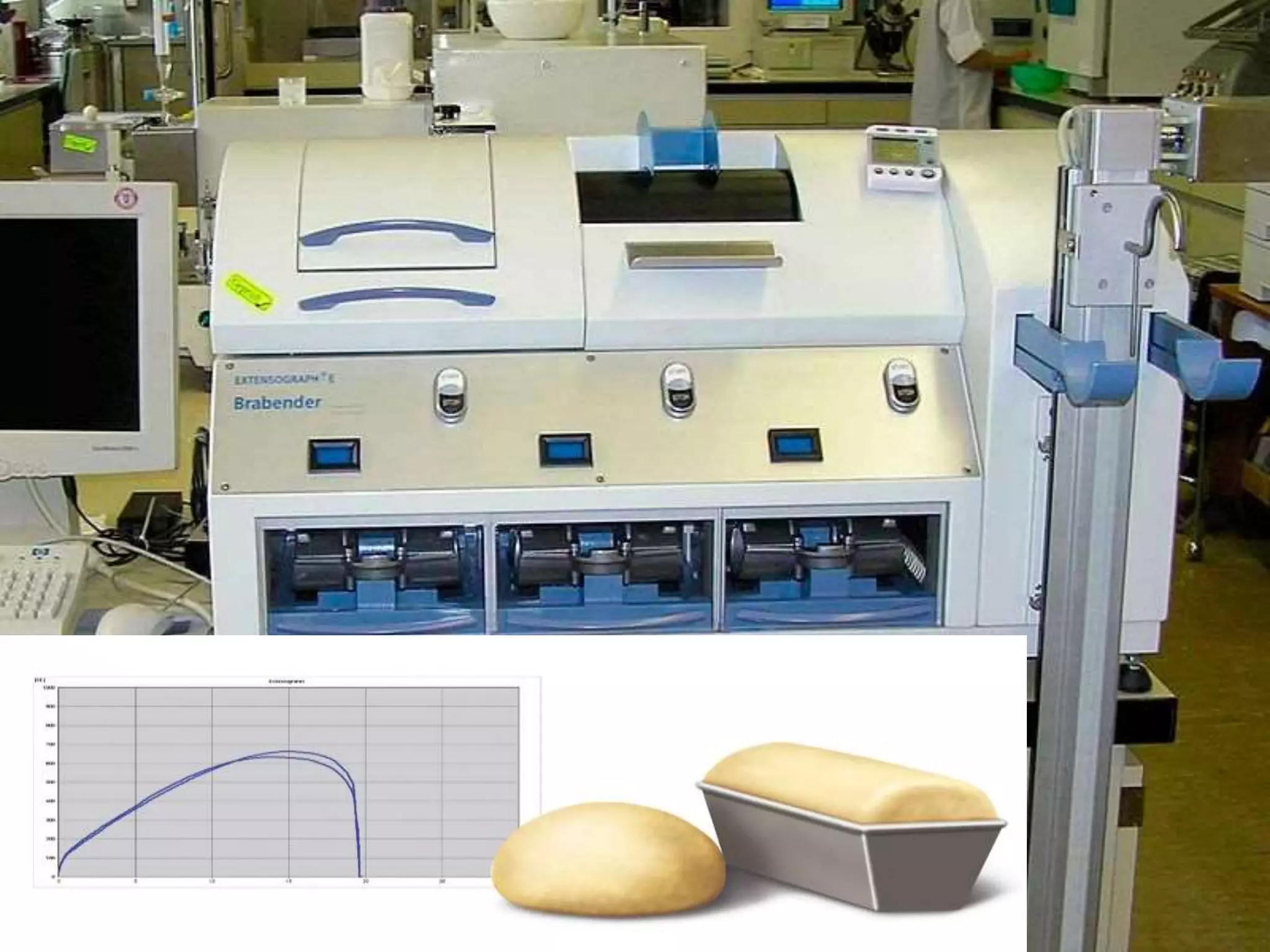Dough rheology | PPTX