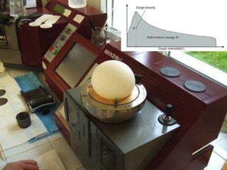 Dough rheology | PPTX