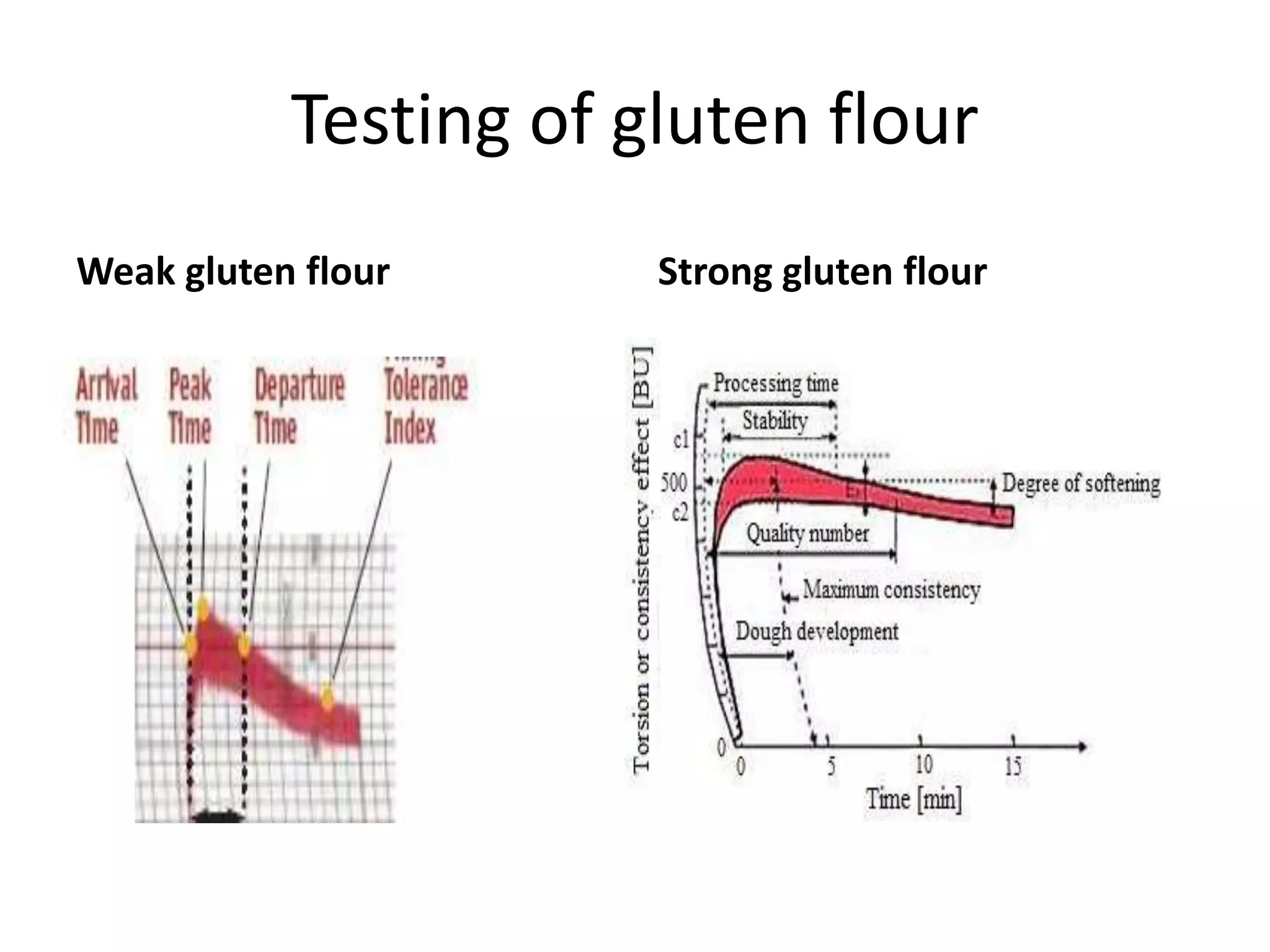 dough rheology ppt.pptx