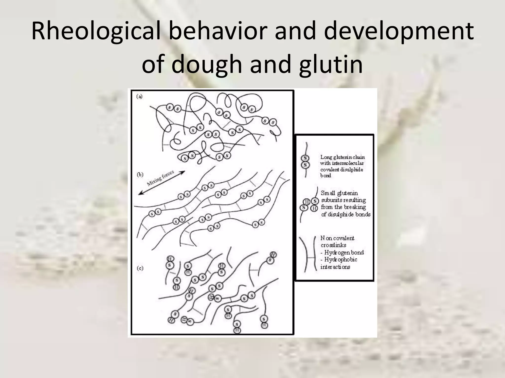 dough rheology ppt.pptx