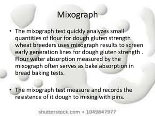 dough rheology ppt.pptx