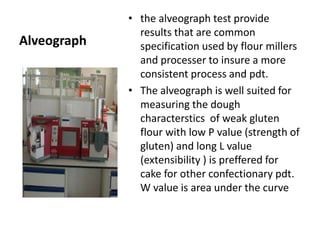 dough rheology ppt.pptx