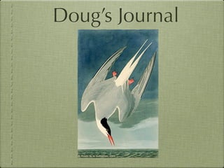 Doug's diary (okay for now plot) \ | KEY