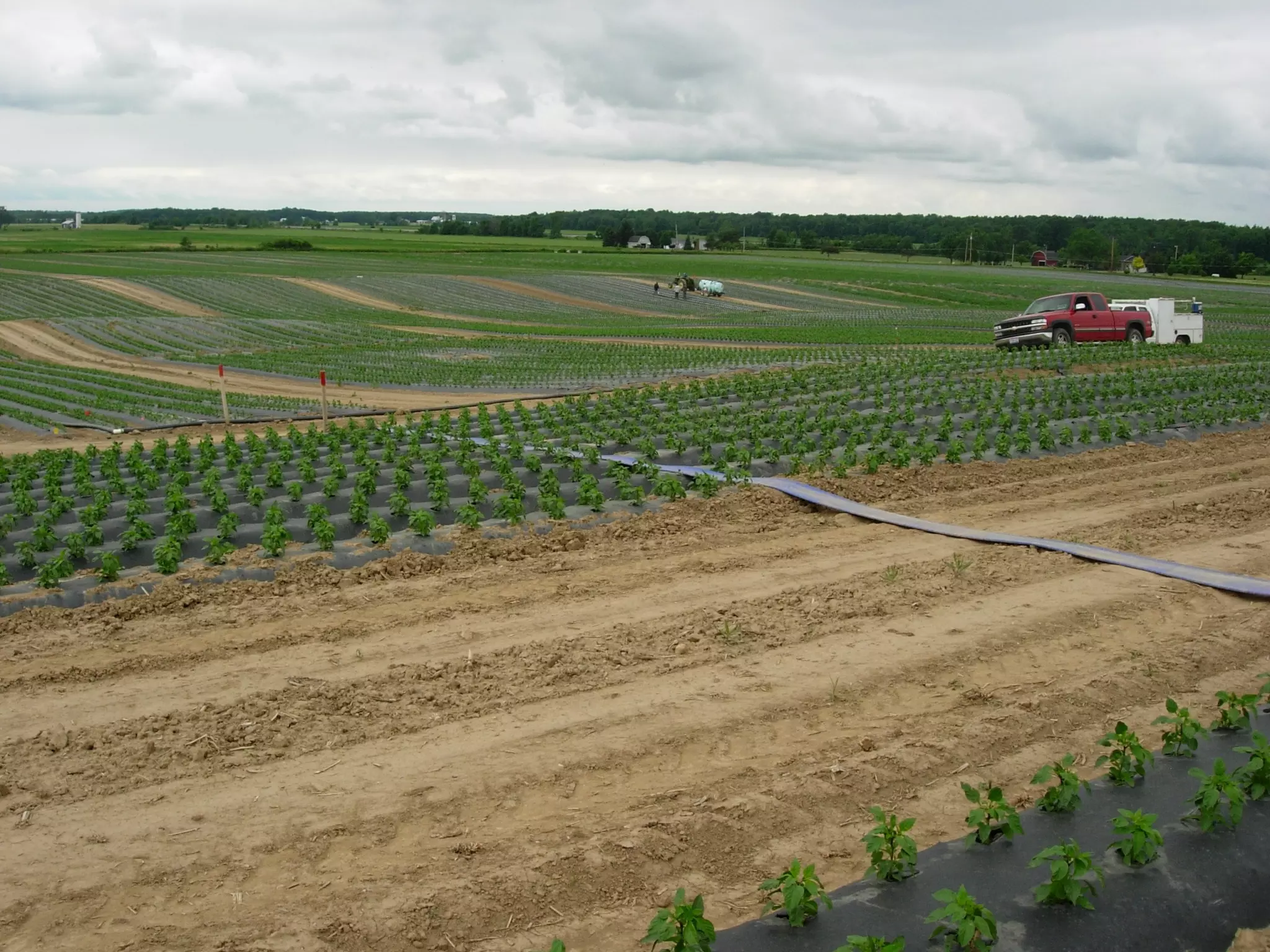 Doug walcher farms intro | PPT