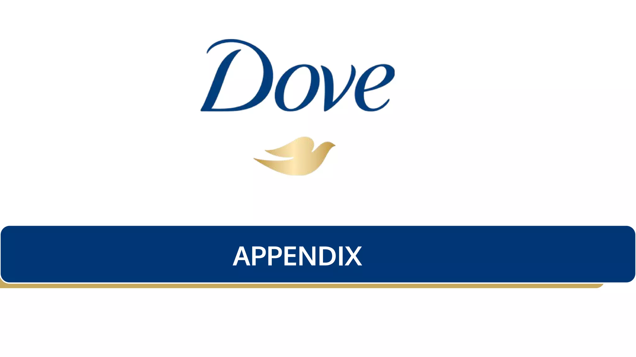 Dove leave on - Integrated Communications Plan | PDF