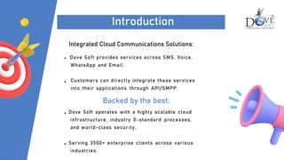 Unlocking Customer Engagement, Overview of Dove Soft Ltd | PPTX