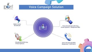 Unlocking Customer Engagement, Overview of Dove Soft Ltd | PPTX
