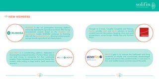 Solifin's activity report 2021 | PDF | Financial Industry | Industries