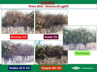 Dow runway-fmv-2012 | PPT