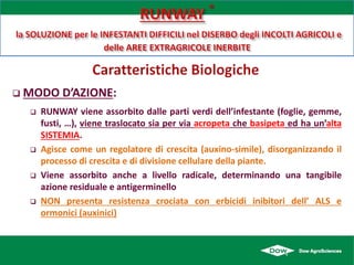 Dow runway-fmv-2012 | PPT