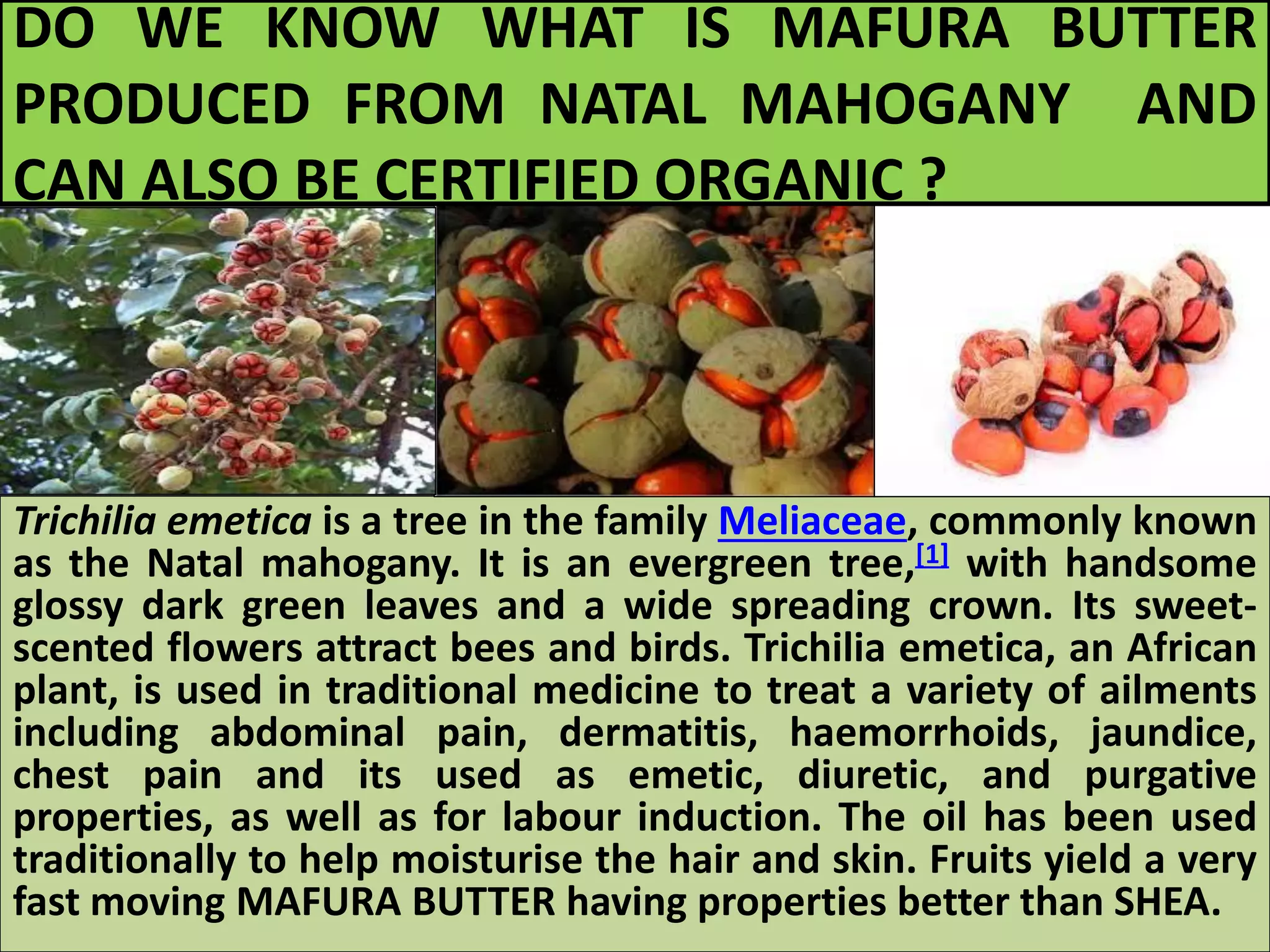 DO WE KNOW WHAT IS MAFURA BUTTER PRODUCED.pdf