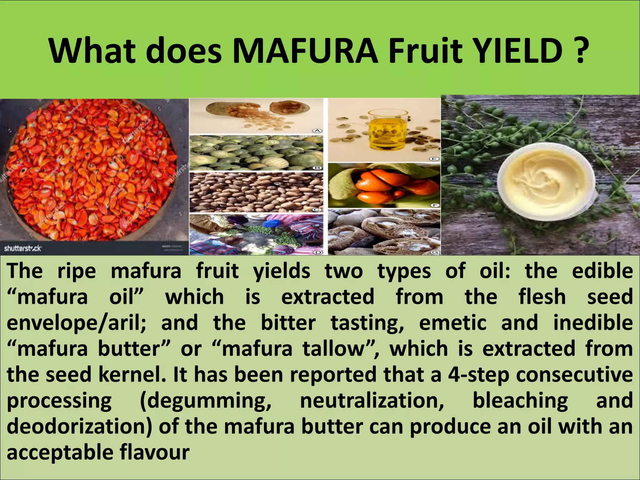 DO WE KNOW WHAT IS MAFURA BUTTER PRODUCED.pdf