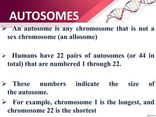 Down syndrome | PPTX
