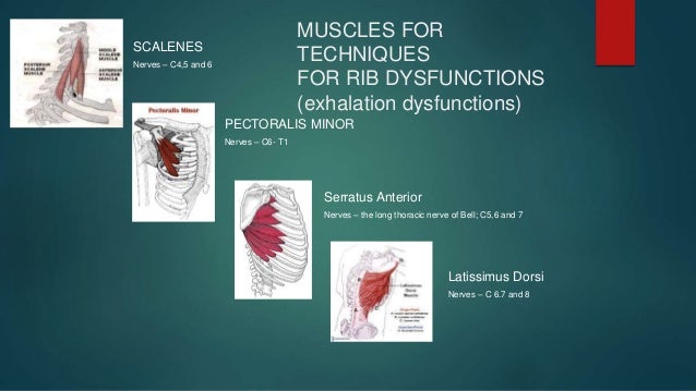 "Down and Dirty Osteopathy"