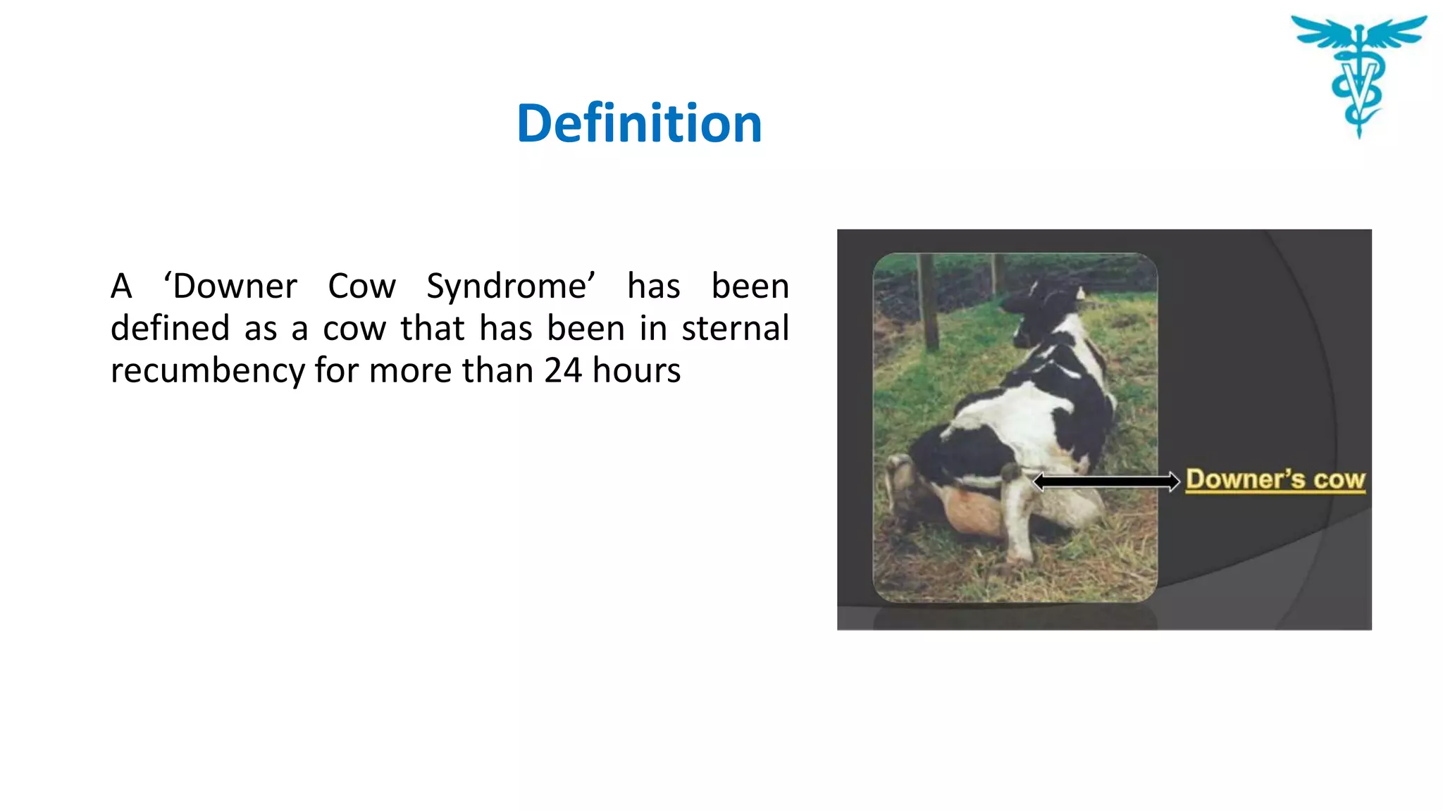 Downer cow syndrome | PPTX