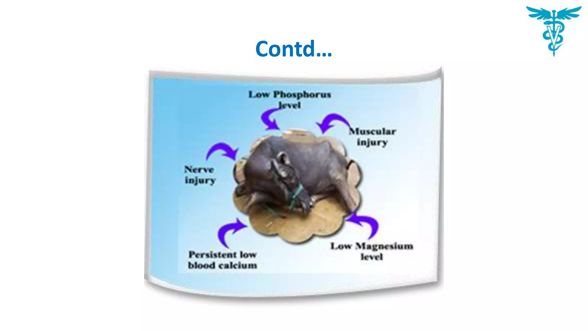 Downer cow syndrome | PPTX