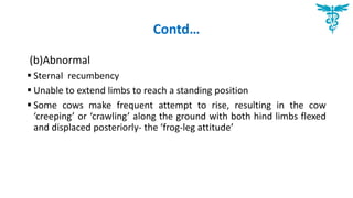 Downer cow syndrome | PPTX