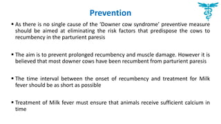 Downer cow syndrome | PPTX