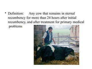 downer cows syndrome in large and small ruminants | PPTX | Injuries ...