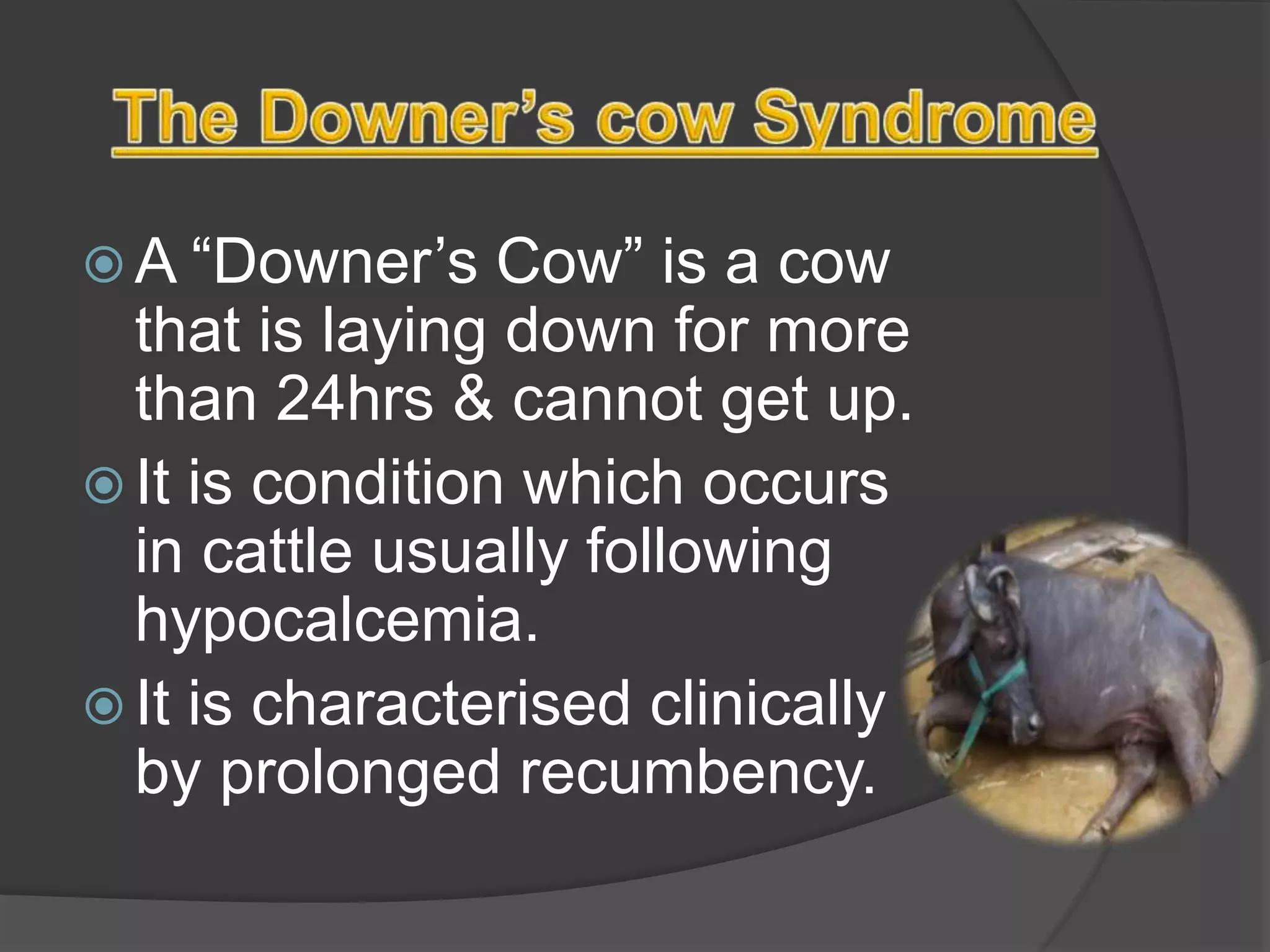 Downer's cow syndrome | PPTX