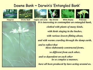 Darwin and Downe Bank: The Wardens' Tale | PPS