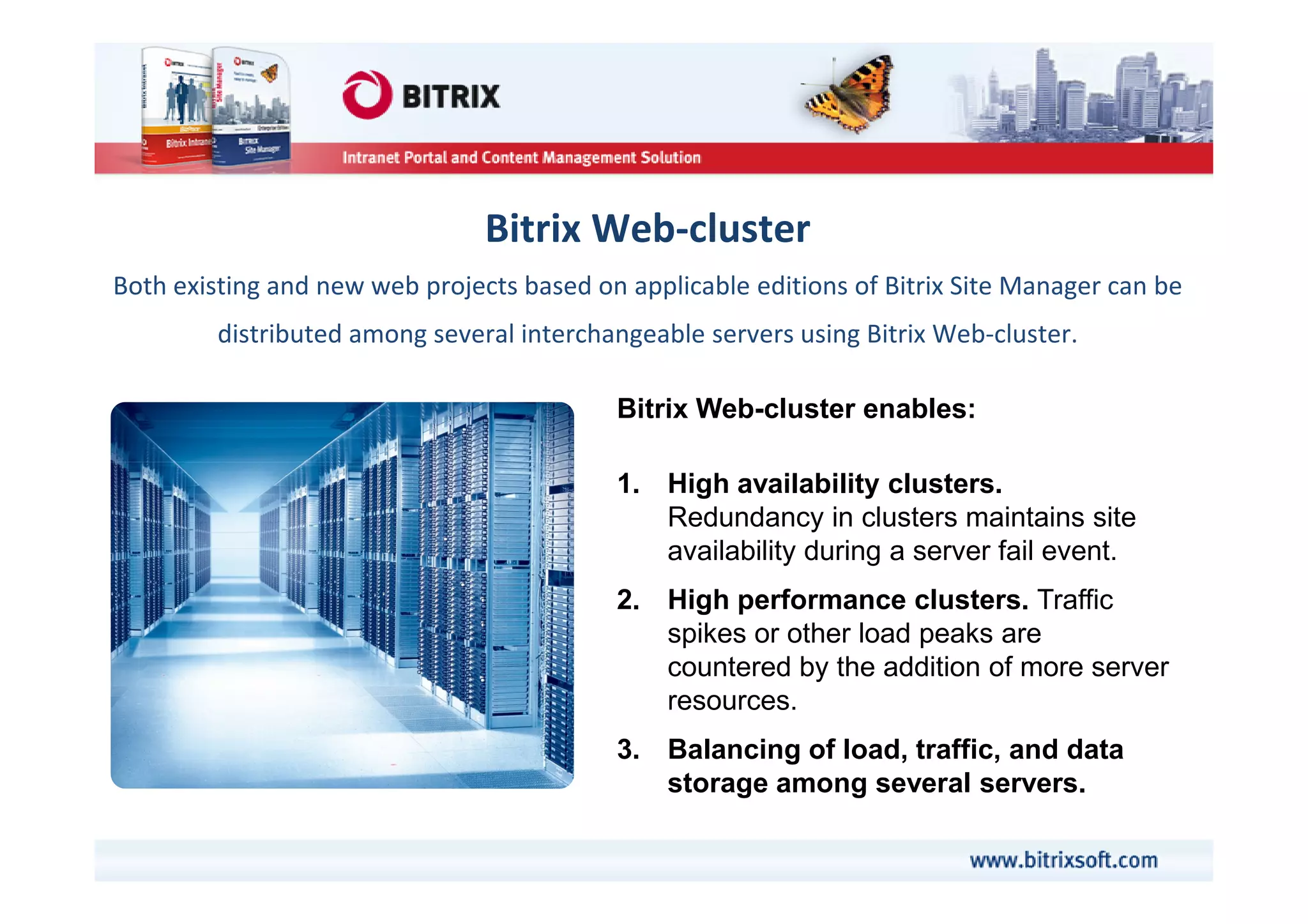 Bitirx Intranet product | PDF
