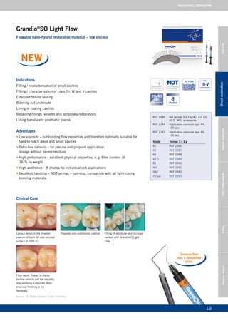 Voco Product Catalogue-DentaKNOX | PDF