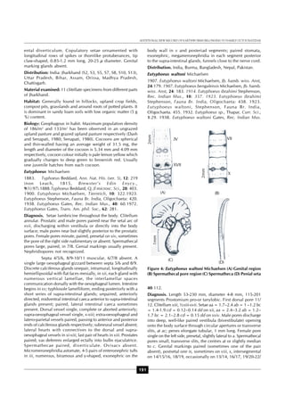 ADDITIONAL NEW RECORD OF EARTHWORMS BELONGING TO FAMILY OCTOCHAETIDAE ...