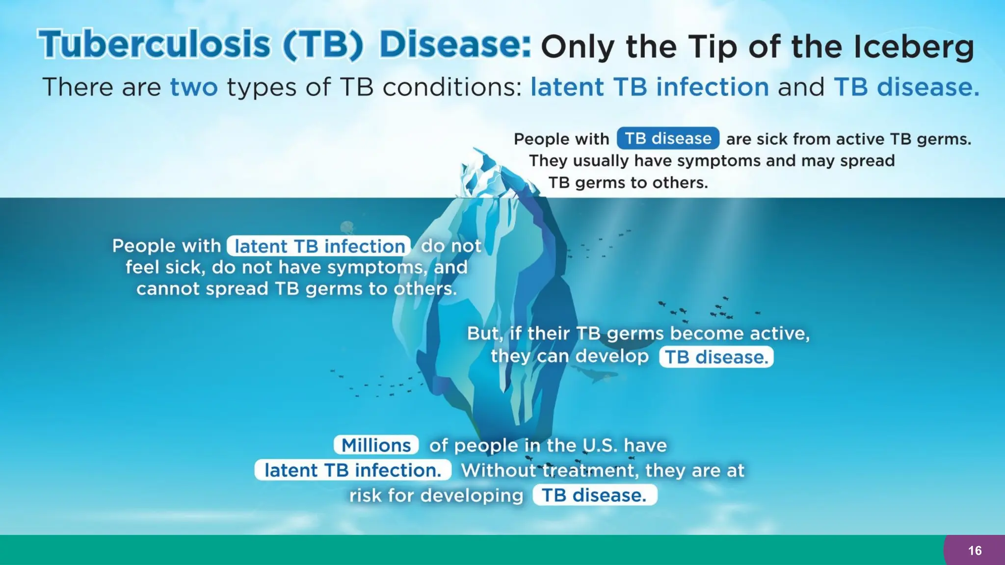 TUBERCULOSIS AND ITS TYPES AND MANAGEMENT | PPTX | Infectious Diseases ...