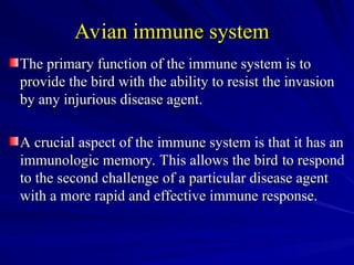 vaccination and its importance in poultry.ppt