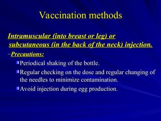 vaccination and its importance in poultry.ppt