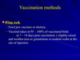 vaccination and its importance in poultry.ppt
