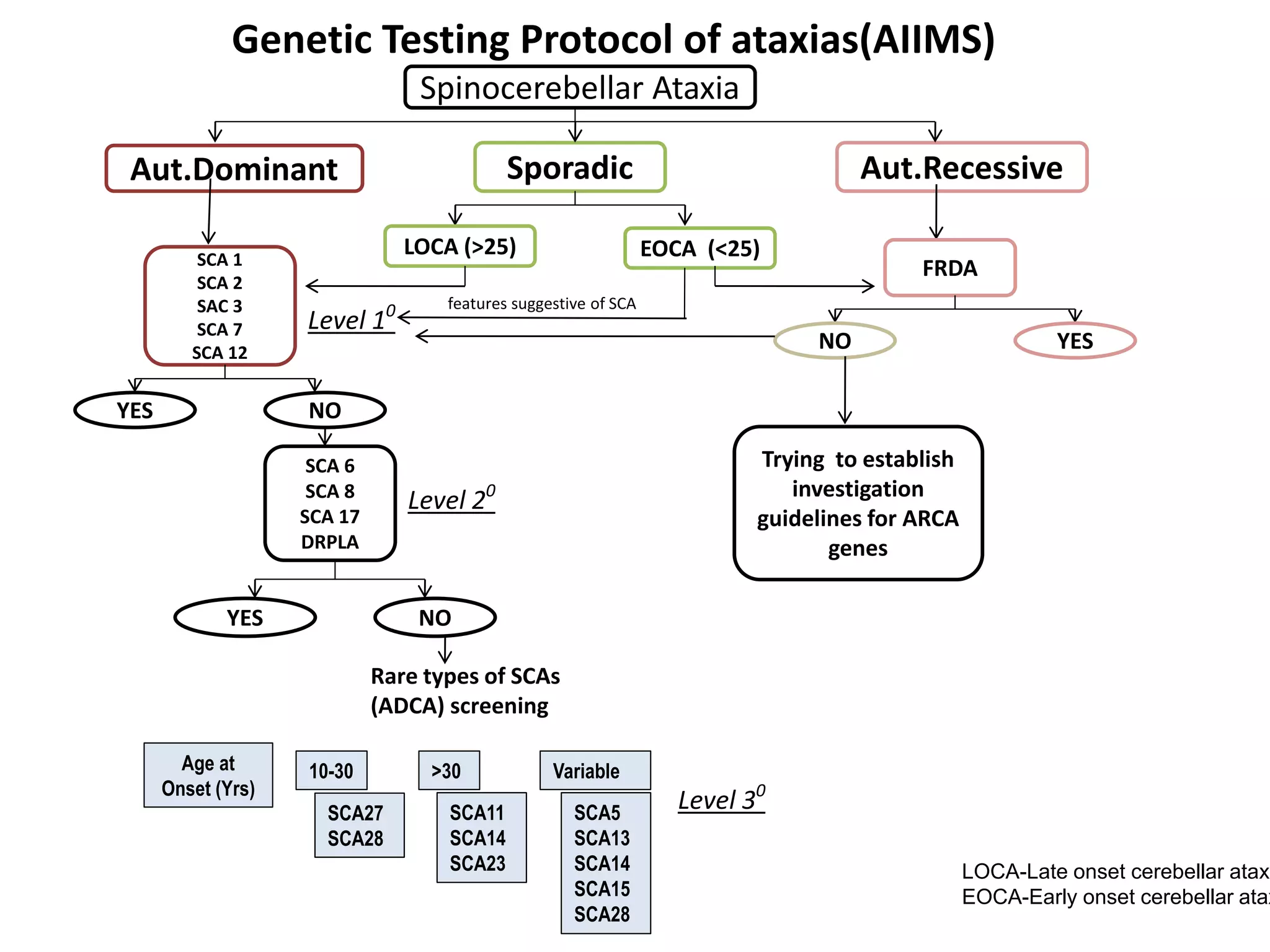 Approach to ataxia | PPTX