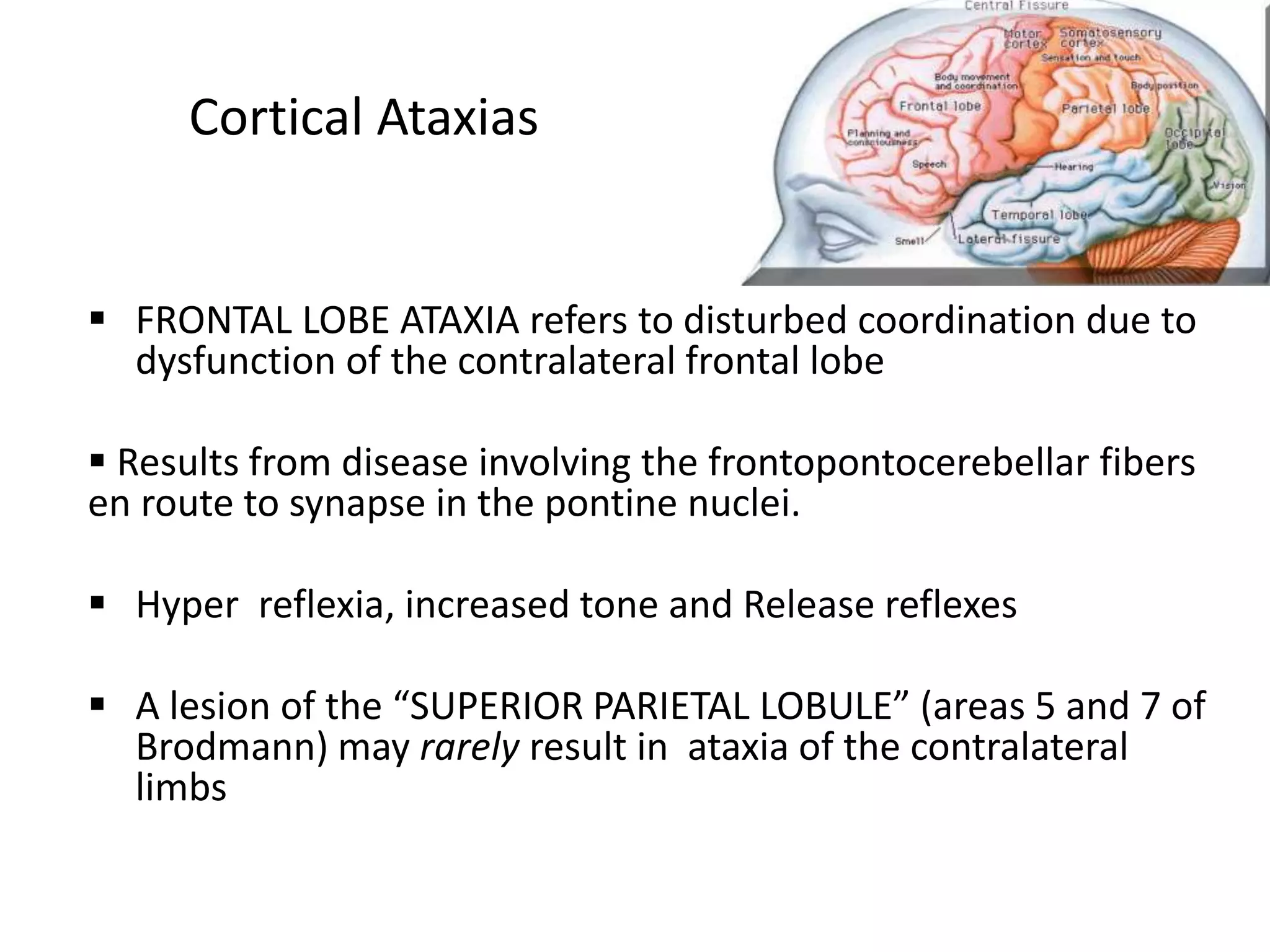 Approach to ataxia | PPTX