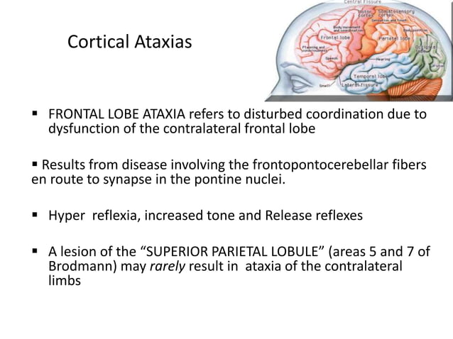 Approach to ataxia | PPTX | Physical Therapy | Wellness