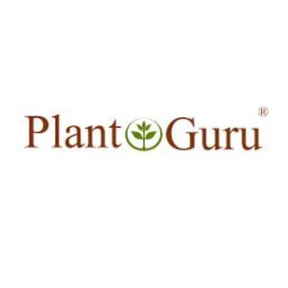 Plant Guru | PDF