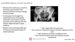 Radiology anatomy first year images xrays | PDF