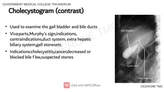Radiology anatomy first year images xrays | PDF