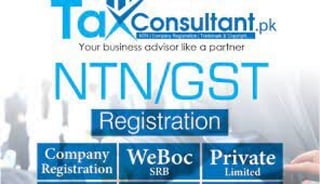 taxconsultancy.pk