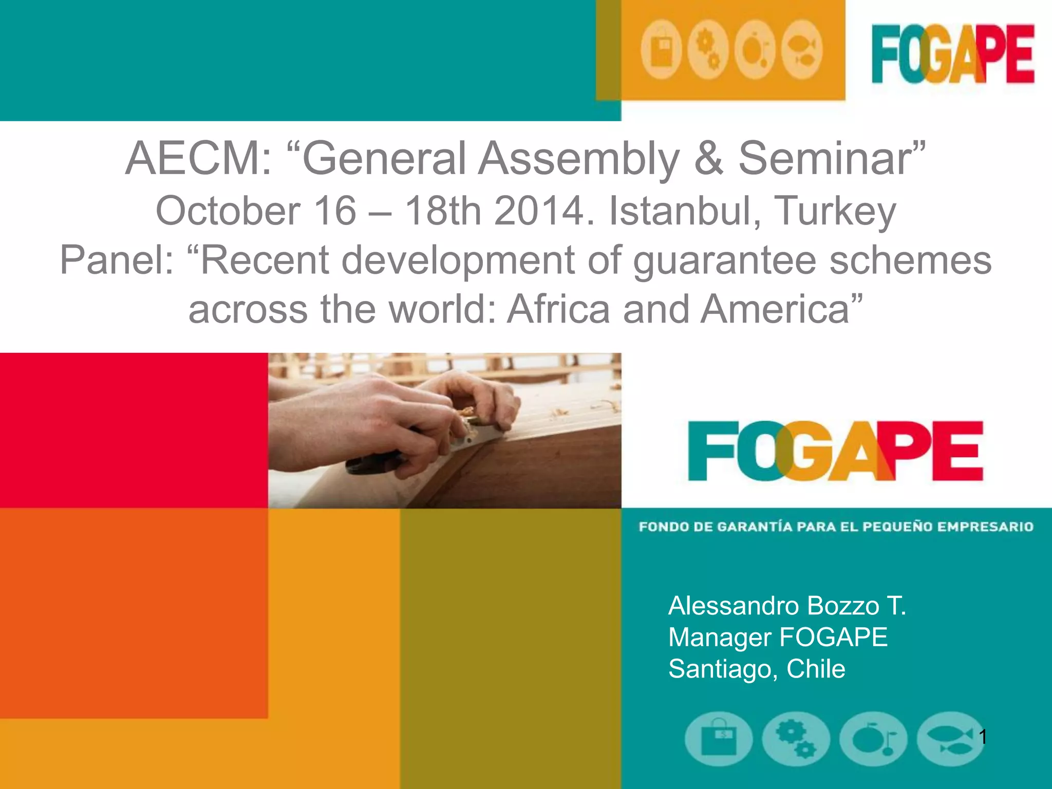 Alessandro Bozzo T. (FOGAPE) - Recent development of guarantee schemes ...