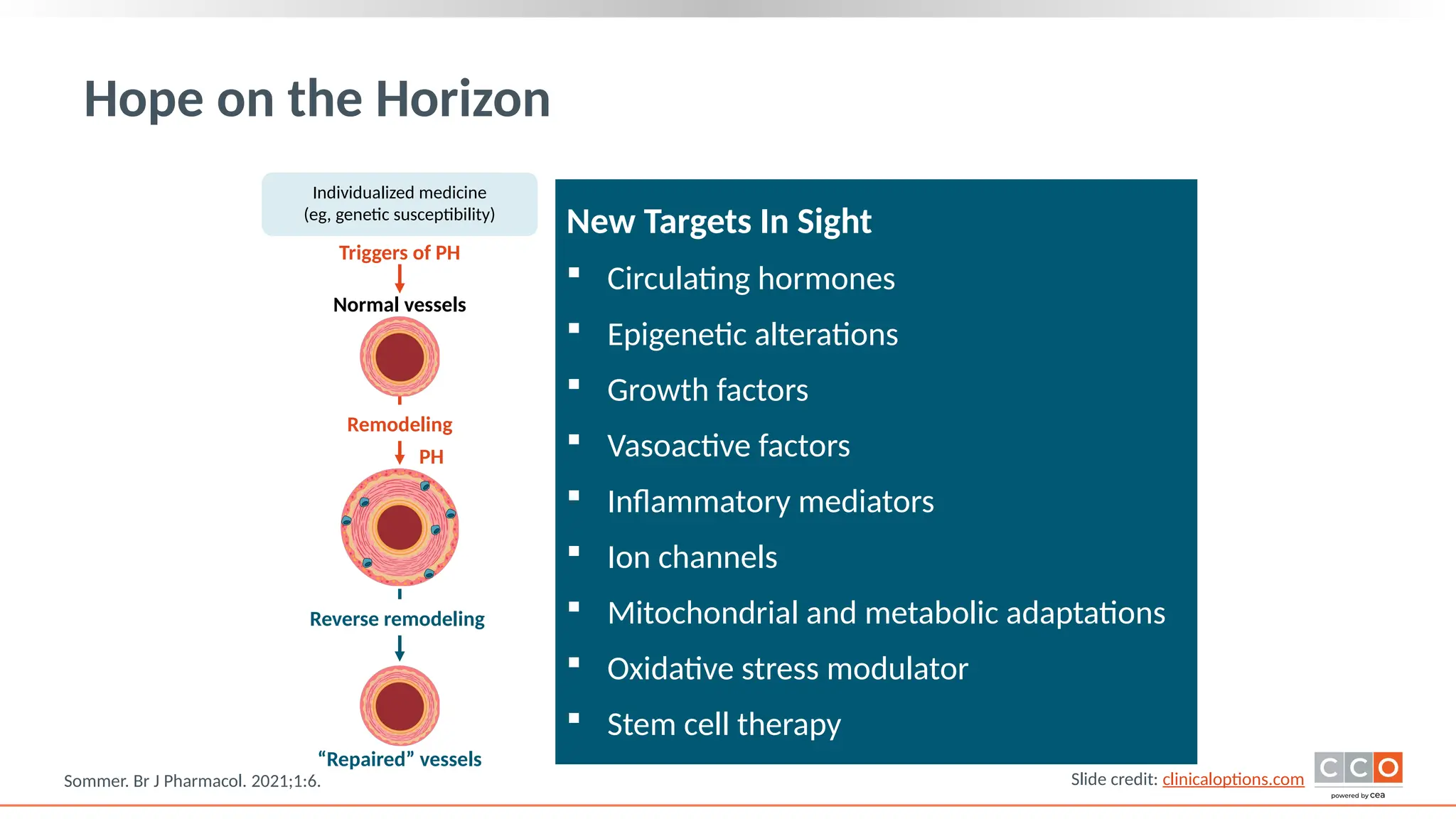 Downloadable Deck pulmonary PAH PRP6127.pptx