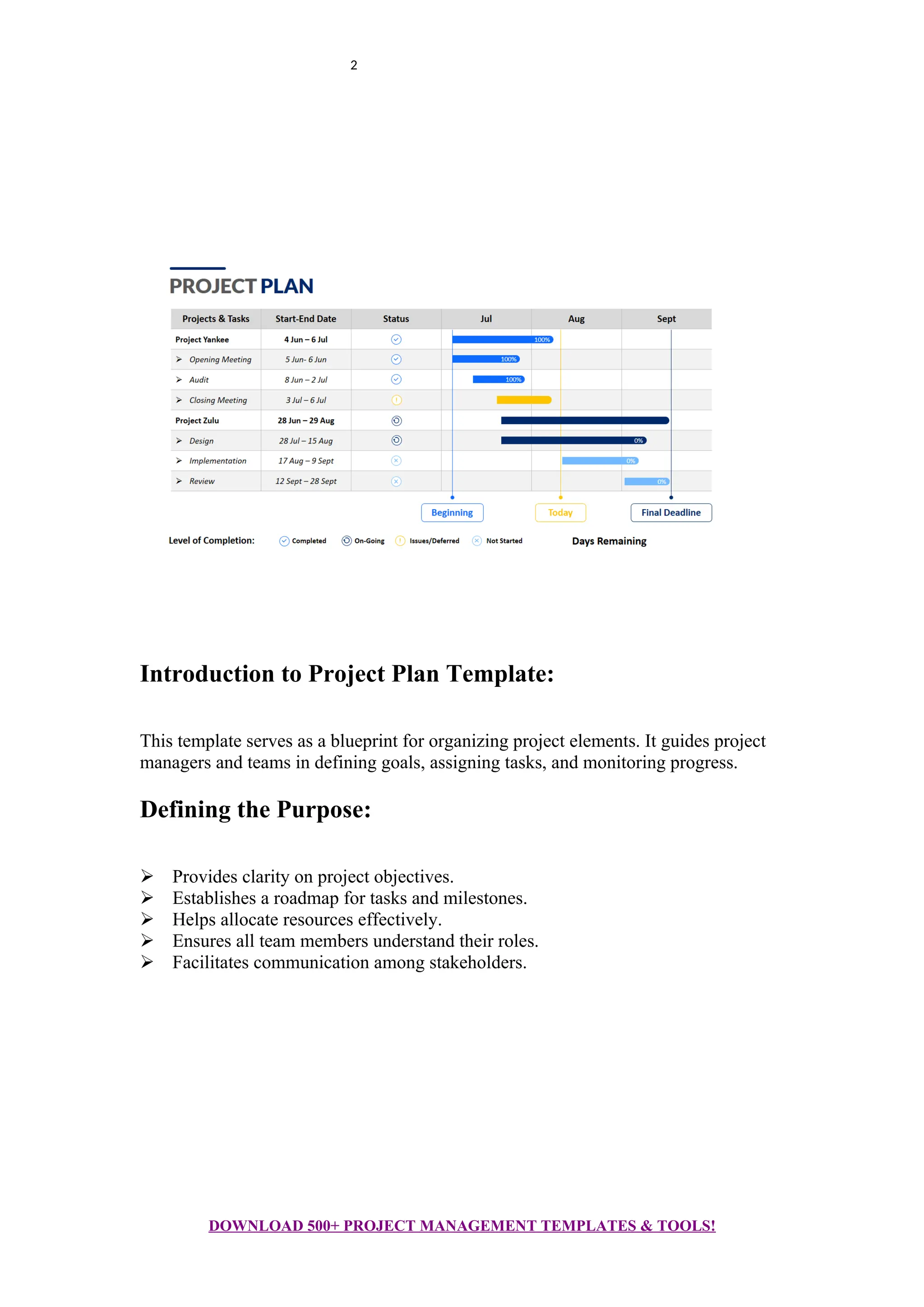 Download Advanced Project Plan Template.docx