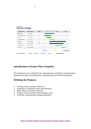 Download Advanced Project Plan Template.docx