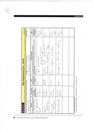 Risk Assessment | PDF
