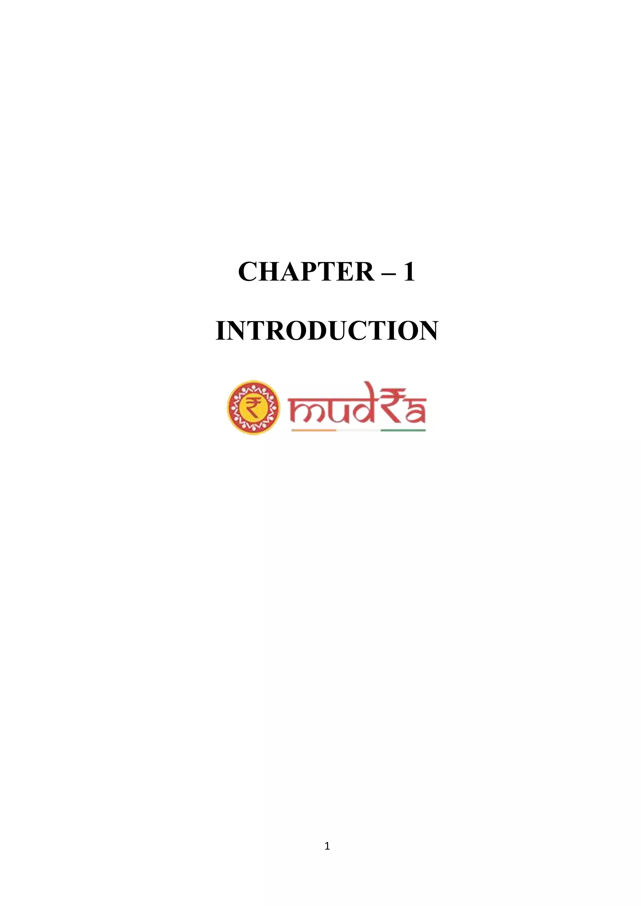 PROJECT REPORT ON MUDRA LOAN | PDF