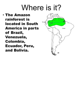 Mysterious facts of AMAZON RAINFOREST | PPTX