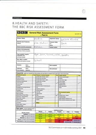 Risk Assessment | PDF
