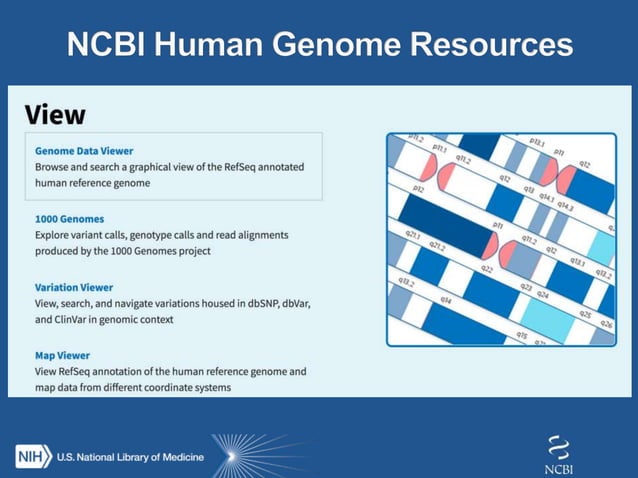 Downloading human genome_sequence_and_annotations | PPT