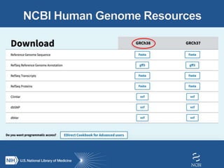 Downloading human genome_sequence_and_annotations | PPT