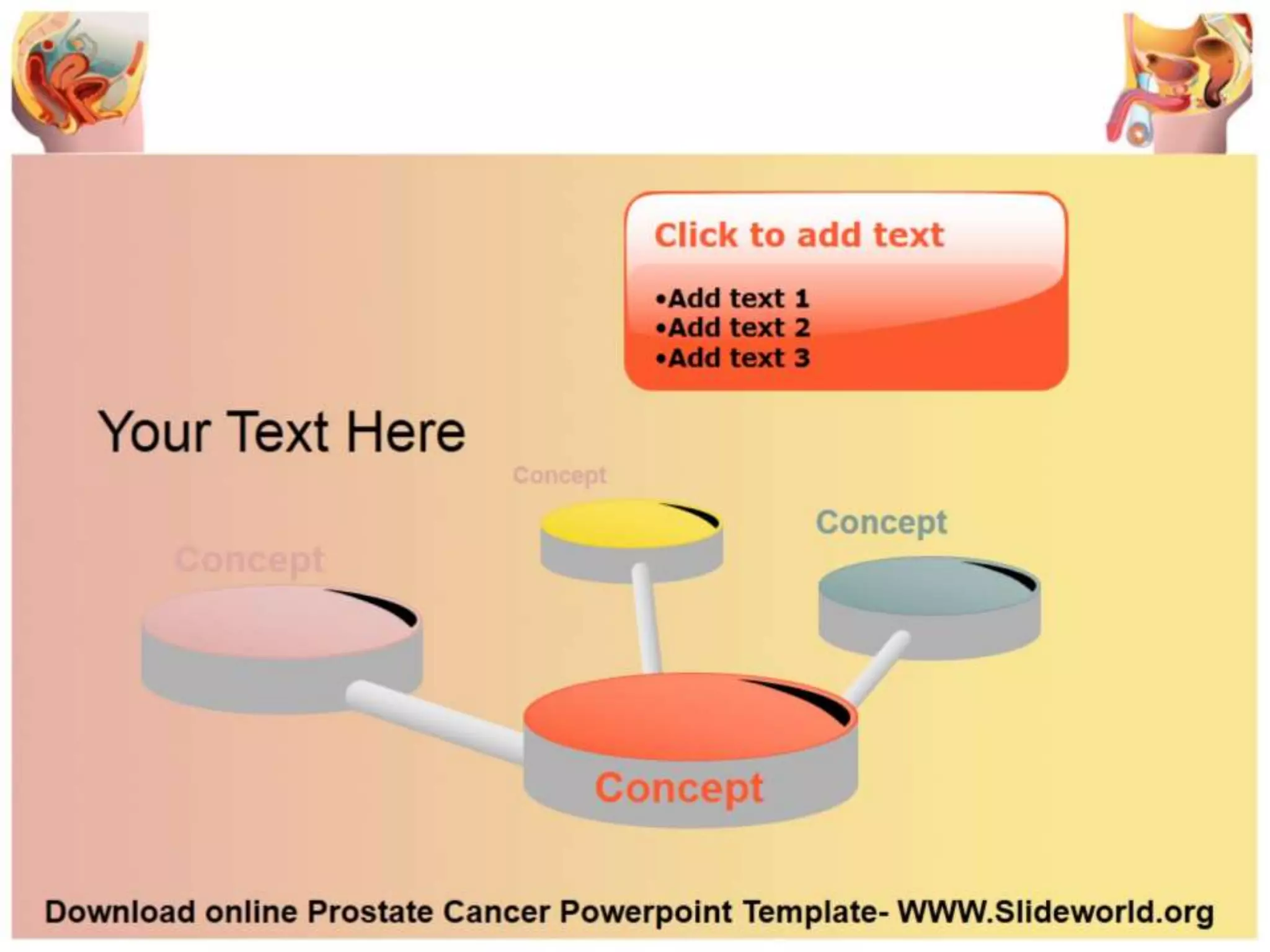 Download Prostate Cancer PowerPoint Templates- Slideworld.Org